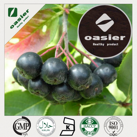 Chokeberry Extract - Buy 100% Pure Natural Aronia Chokeberry Extract ...