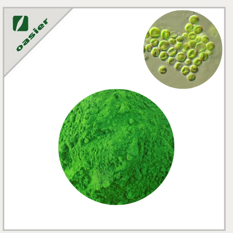 Chlorella Powder Extract from China manufacturer - Baoji Oasier Bio ...