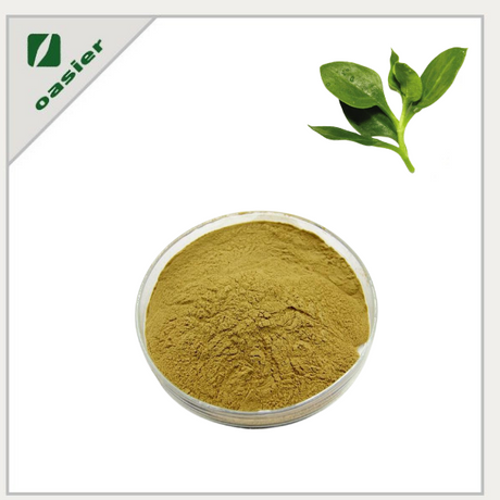 Andrographis Paniculata Leaf Extract from China manufacturer - Baoji ...